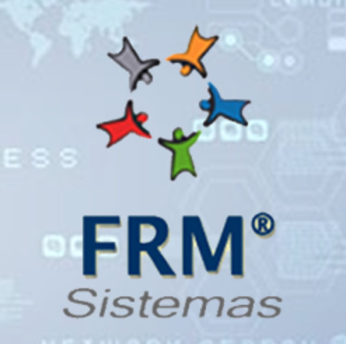 FRM Sistemas