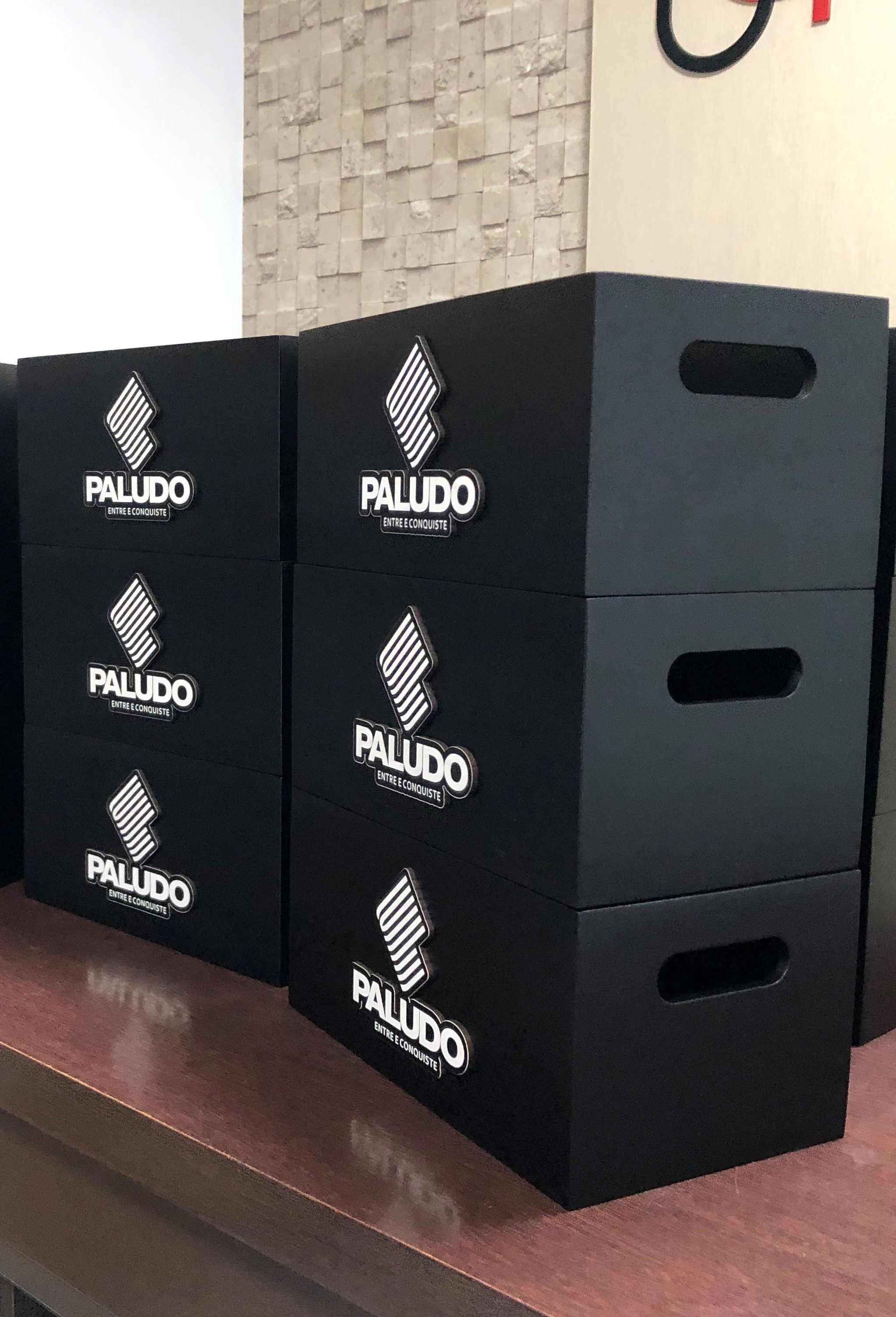 portfolio-paludo