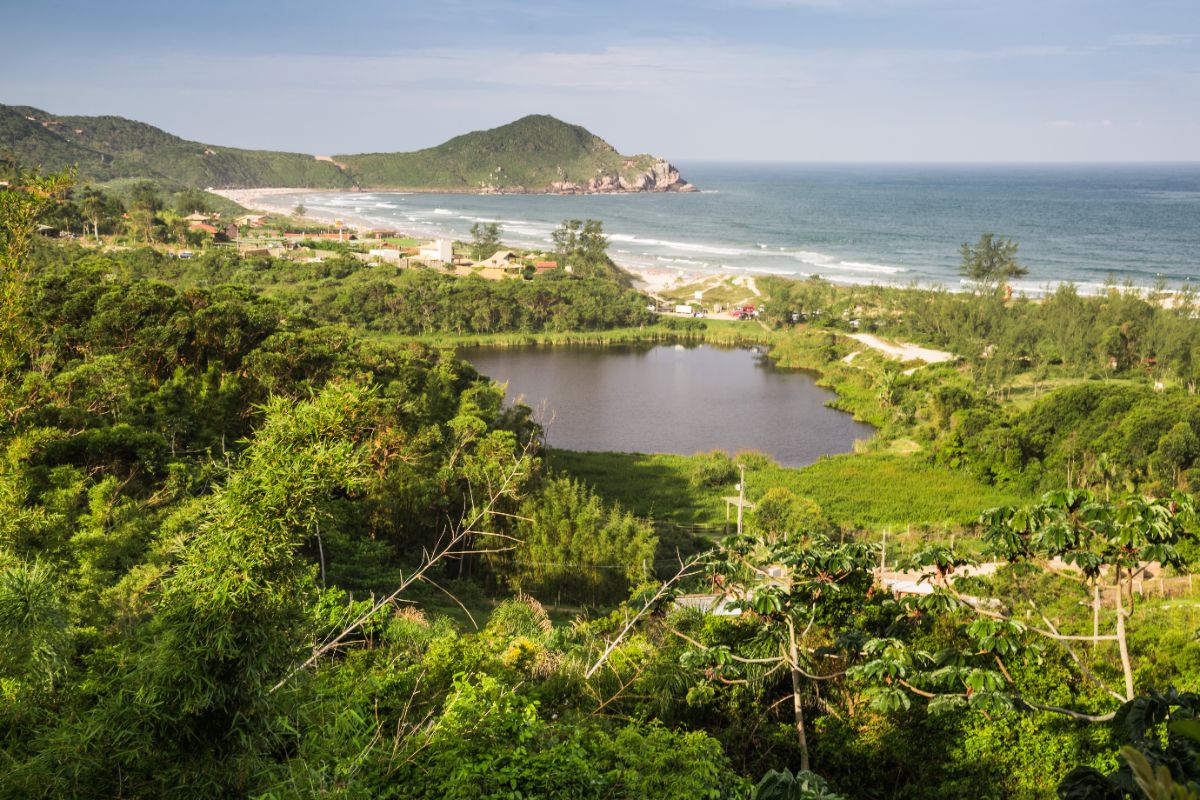 Ao sul Natural - Agência de turismo receptivo - Praia do Rosa ...