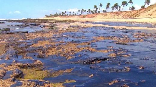 Óleo na praia: descubra como agir!