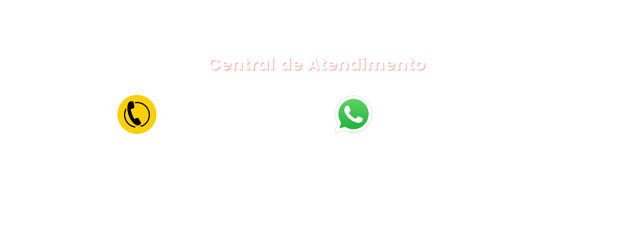 CONHECA A LAUNCH CAT 501S